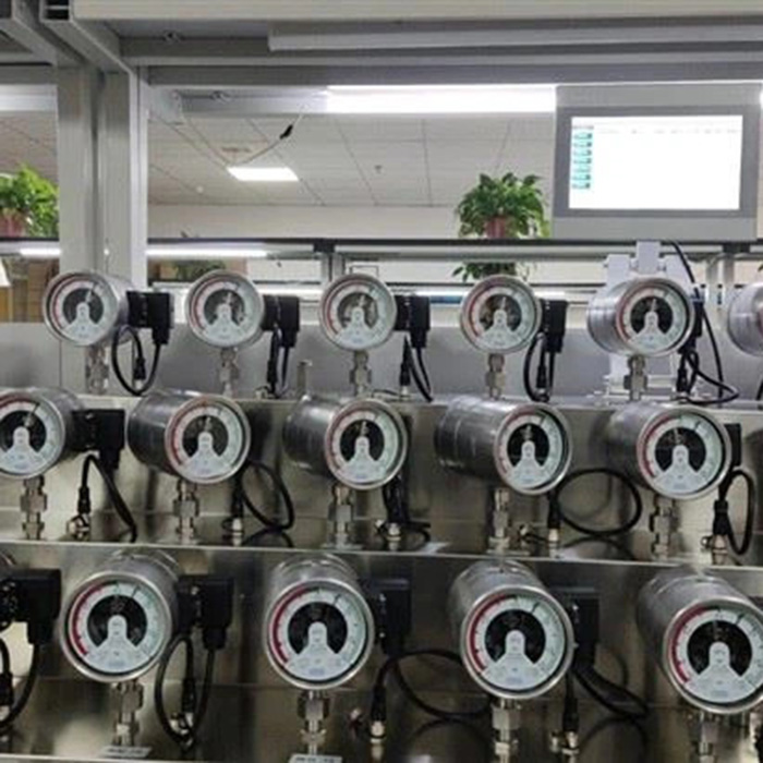 China Customized OEM ODM SF6 Gas Density Monitor Manufacturers ...