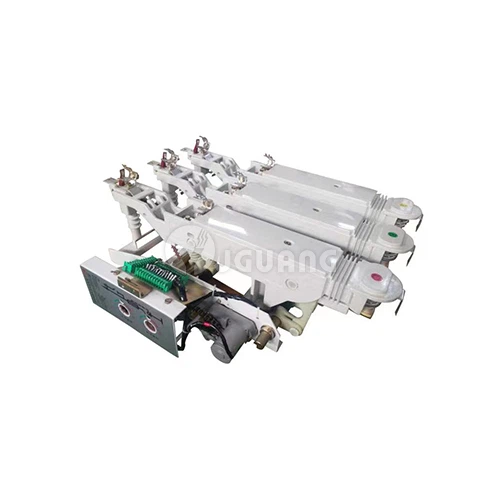 China Customized OEM ODM Three Position Load Break Switch for GIS ...